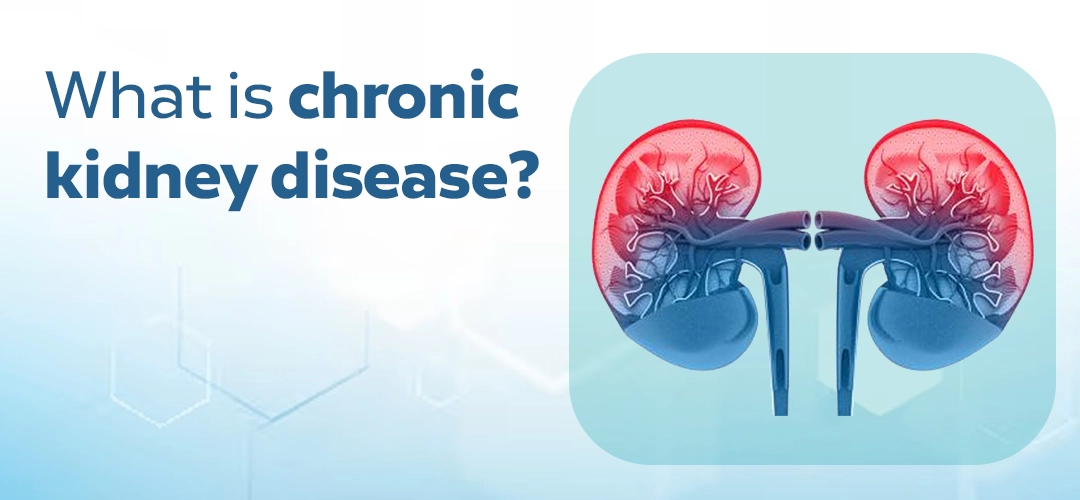 Causes Of Chronic Kidney Disease